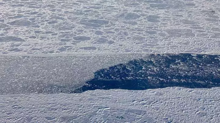 Los niveles de hielo marino del Ártico en 2019 empataron en el segundo nivel más bajo jamás registrado, según sugieren los hallazgos preliminares