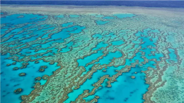 Kev ncig ua si poob rau ntawm Great Barrier Reef. Ua Tsaug Rau Leej Twg Ua Phem